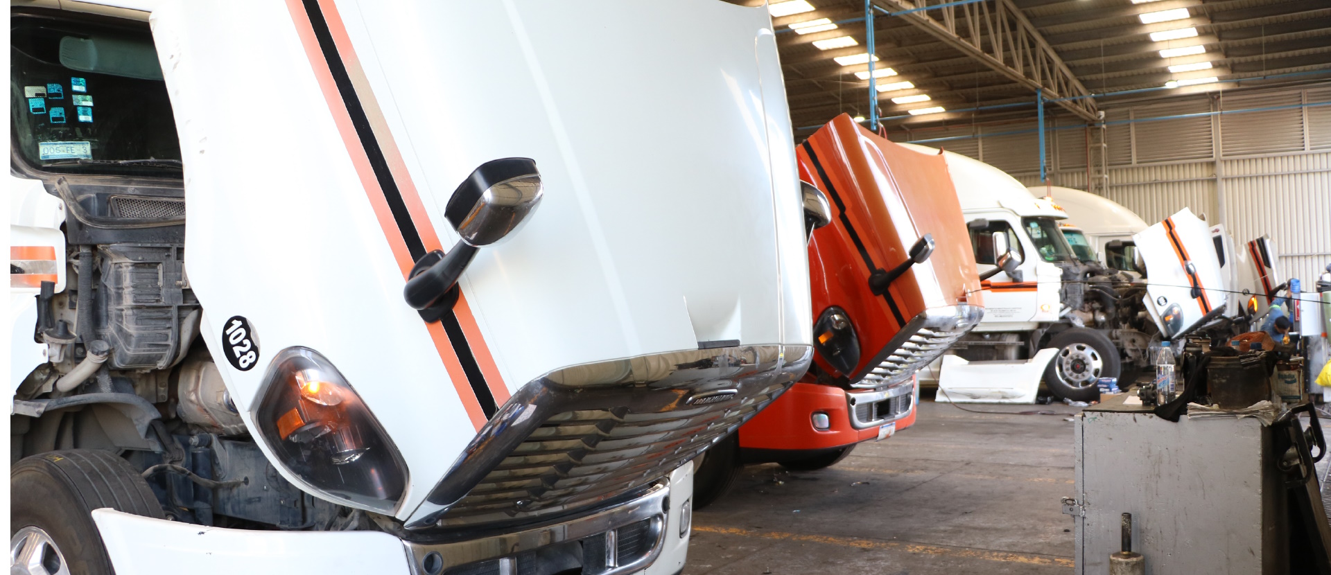 Express Milac - Seminuevos